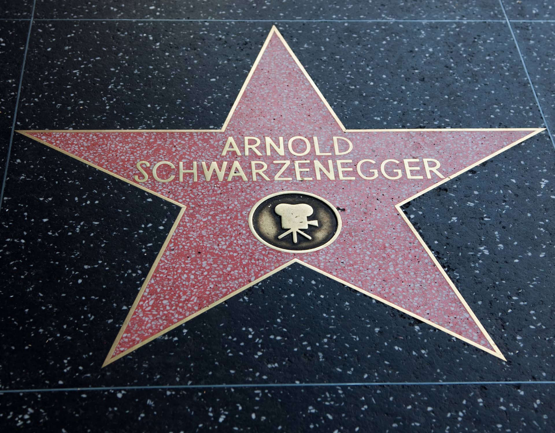 Arnold Schwarzenegger's Net Worth and Story