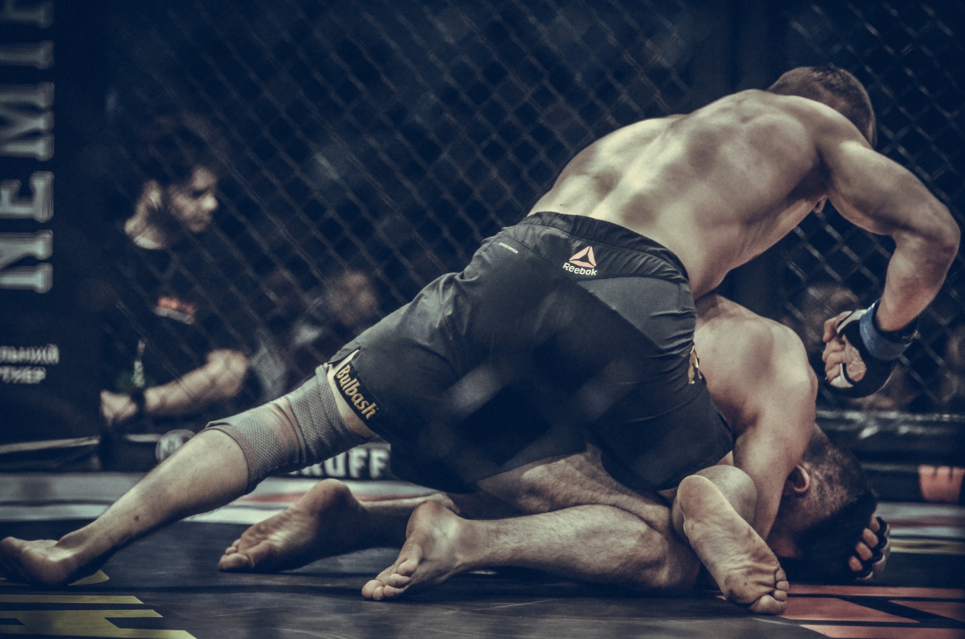 Joe Rogan's Net Worth and Story