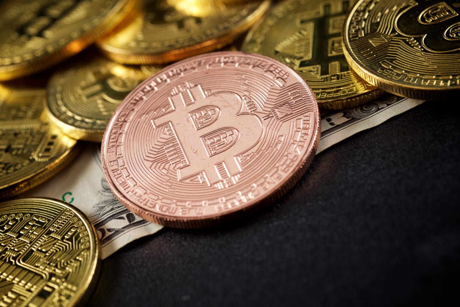 Chamath Palihapitiya's Net Worth and Inspiring Story